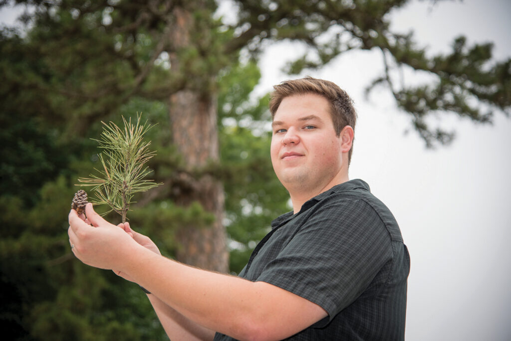 Bough wow! The longest-standing trees at UNCG - UNCG Magazine